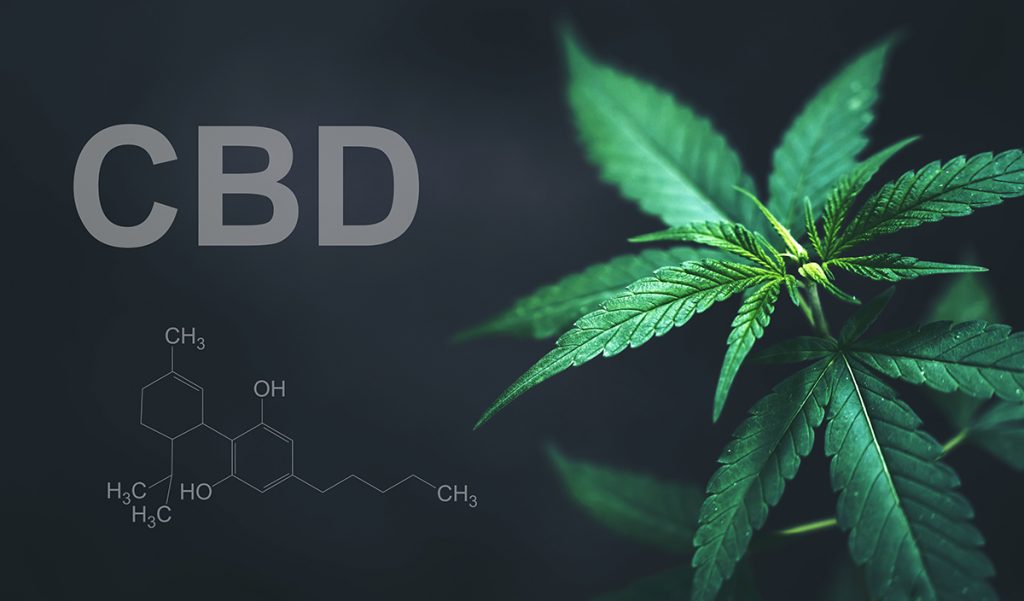 Ich rauche CBD. Welche Risiken bestehen für meine Gesundheit? Ich rauche CBD. Welche Risiken bestehen für meine Gesundheit?